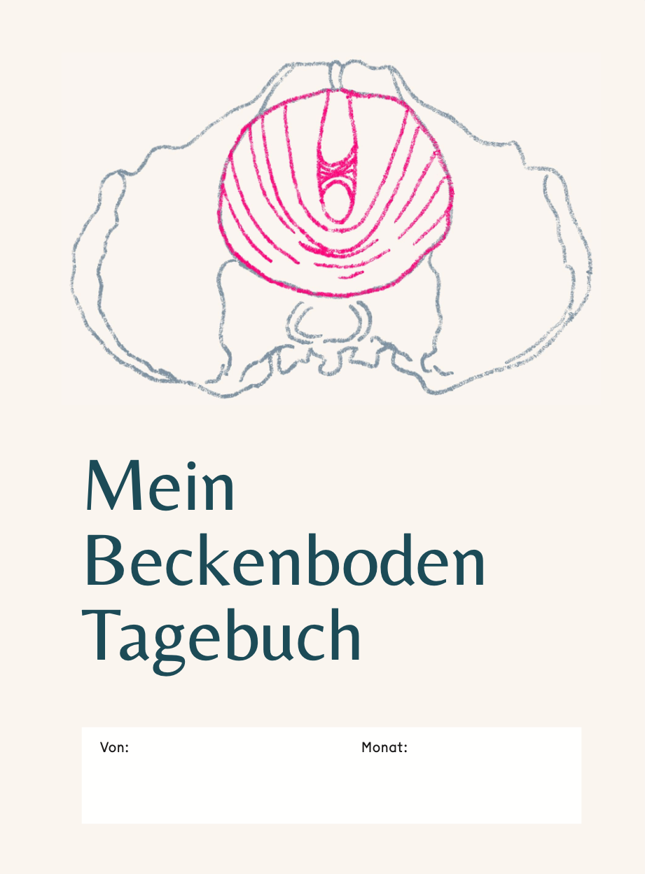 Die drei Schichten des Beckenbodens einfach erklärt